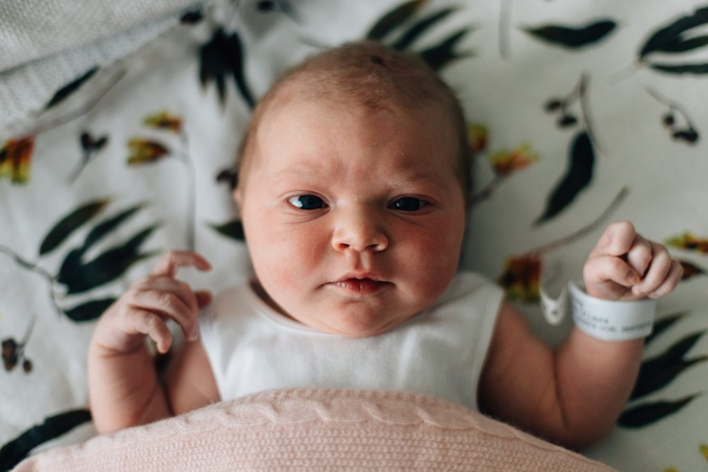 Fresh 48 Photography Melbourne // And So I Don't Forget Photography